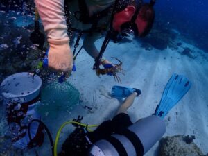 Mini Lobster Season in the Florida Keys - Coco Plum Vacation Rentals